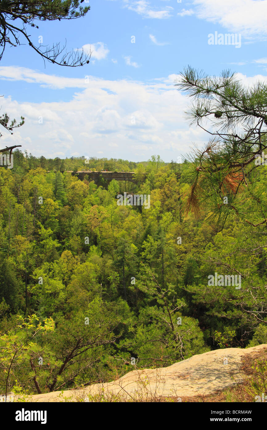 Slade point hi-res stock photography and images - Alamy