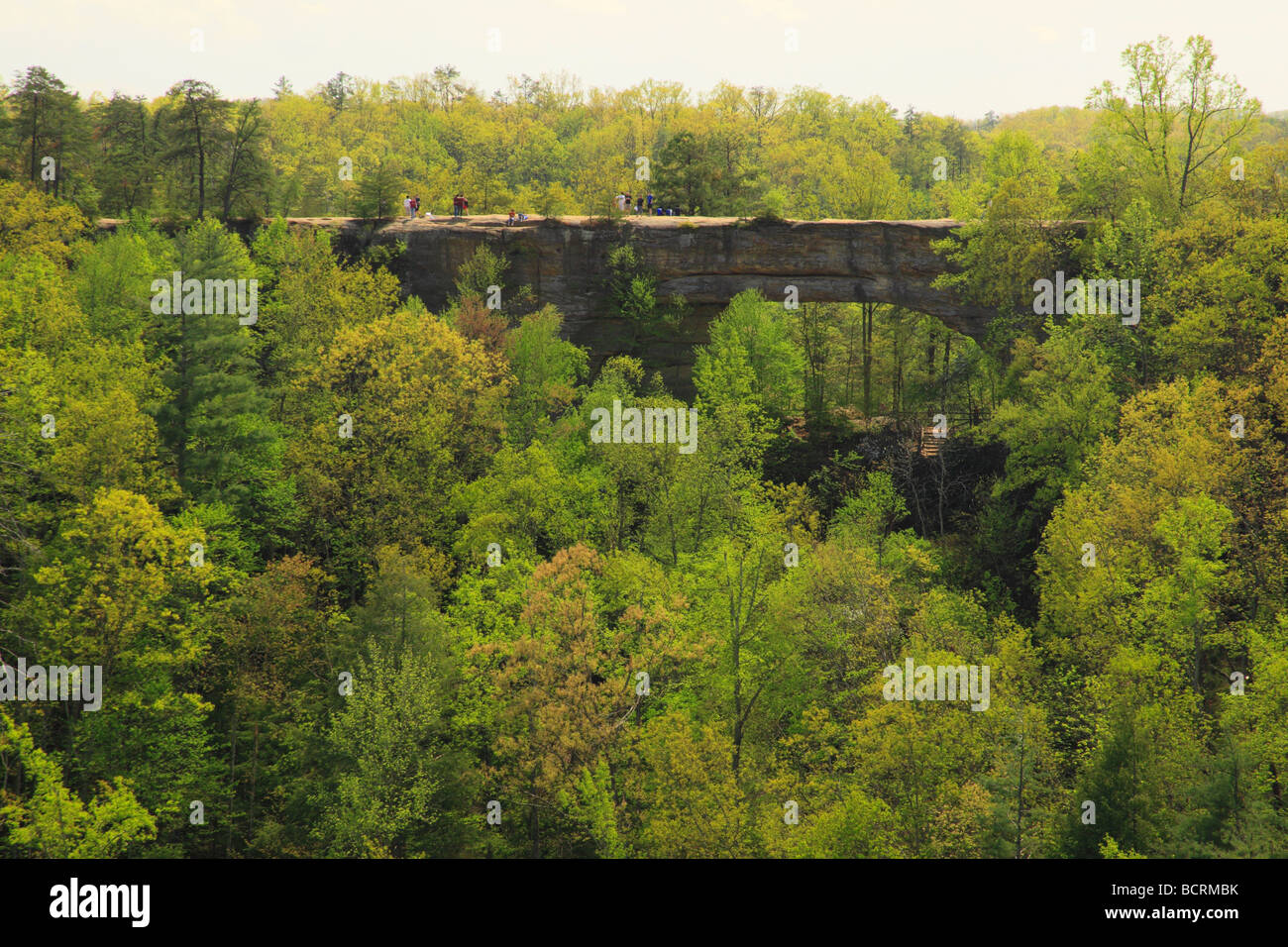 Natural bridge state resort park hi-res stock photography and images ...