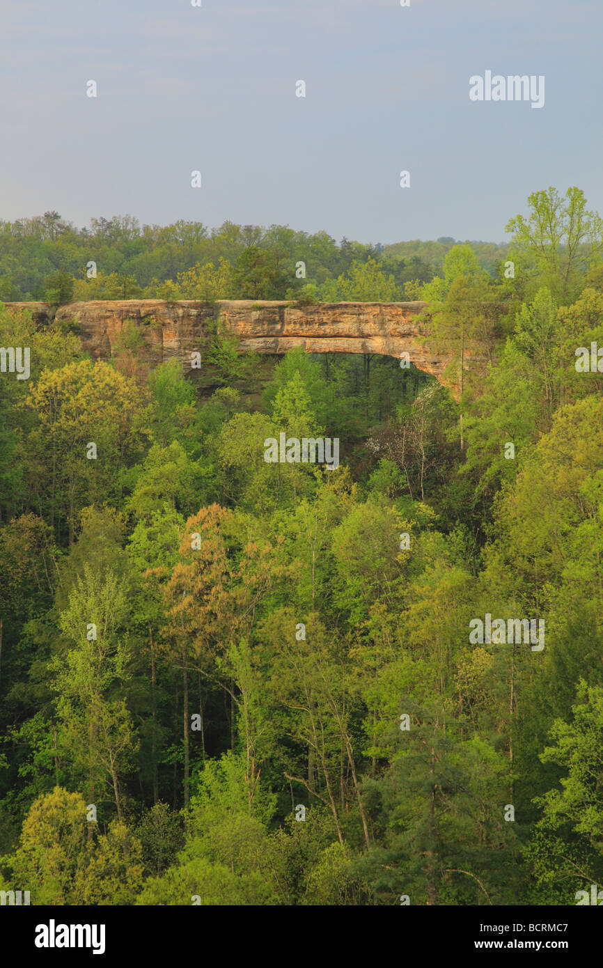 Slade point hi-res stock photography and images - Alamy