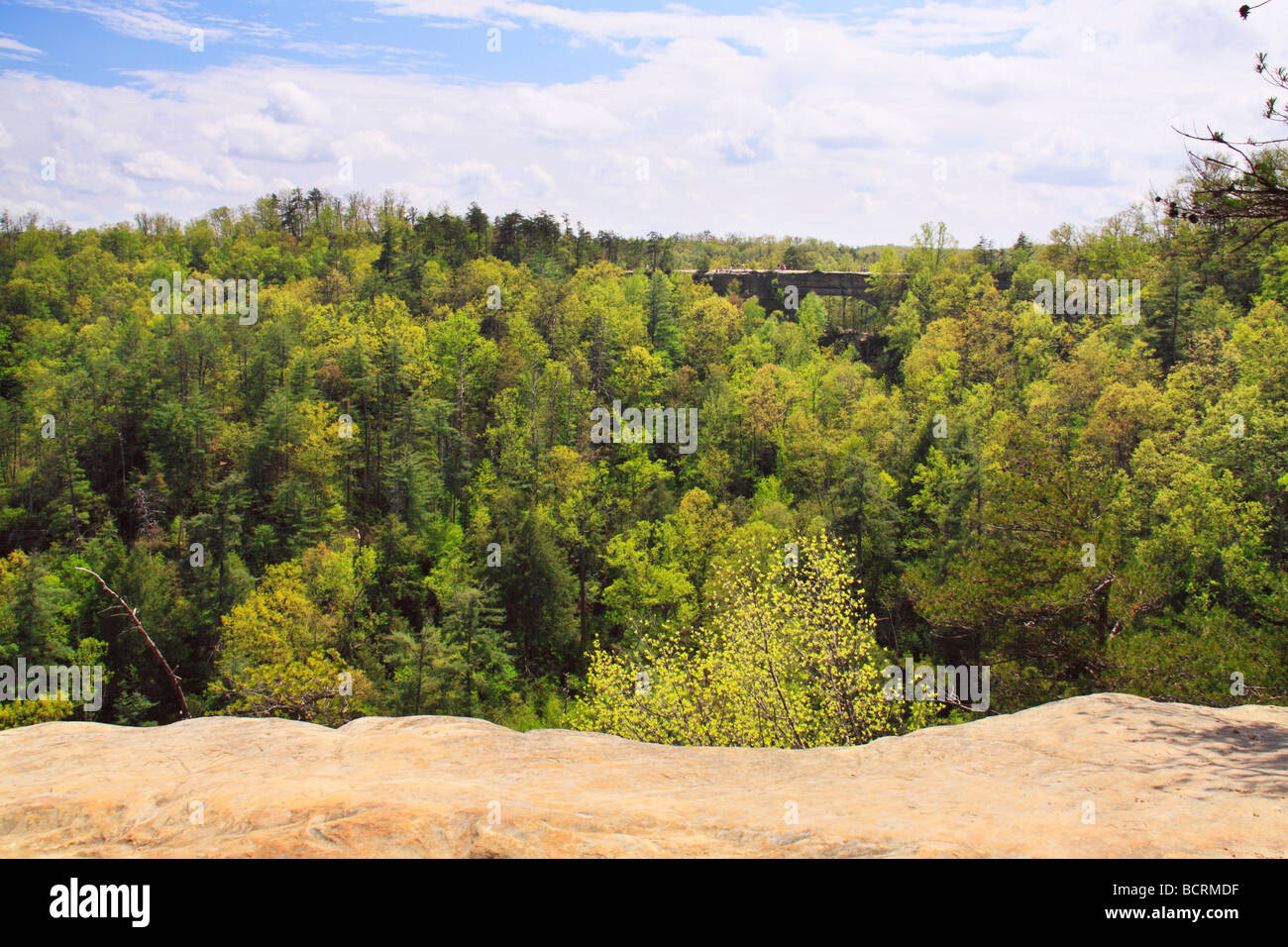 View of the Natural Bridge from Lookout Point Natural Bridge State ...