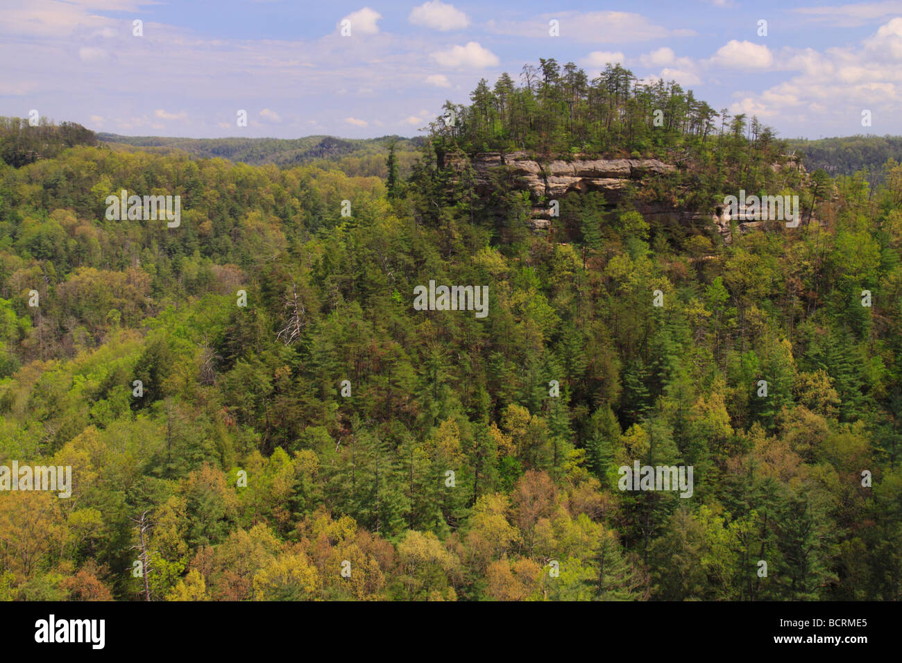 View from Lookout Point Natural Bridge State Resort Park Slade Kentucky ...
