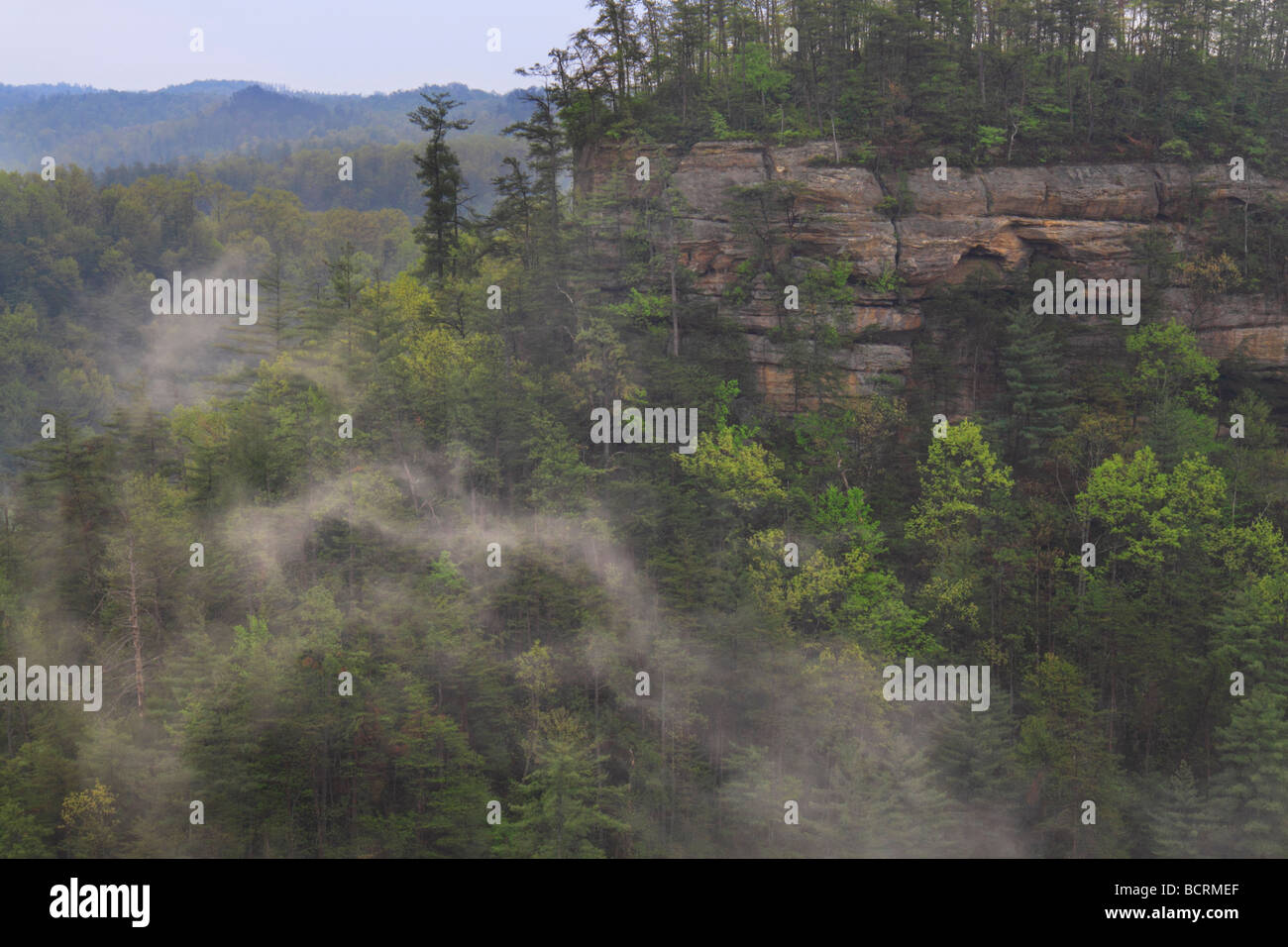 Early morning fog at Lookout Point Natural Bridge State Resort Park ...