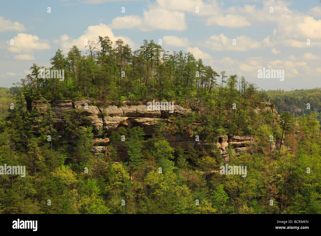 Natural bridge state park hi-res stock photography and images - Alamy