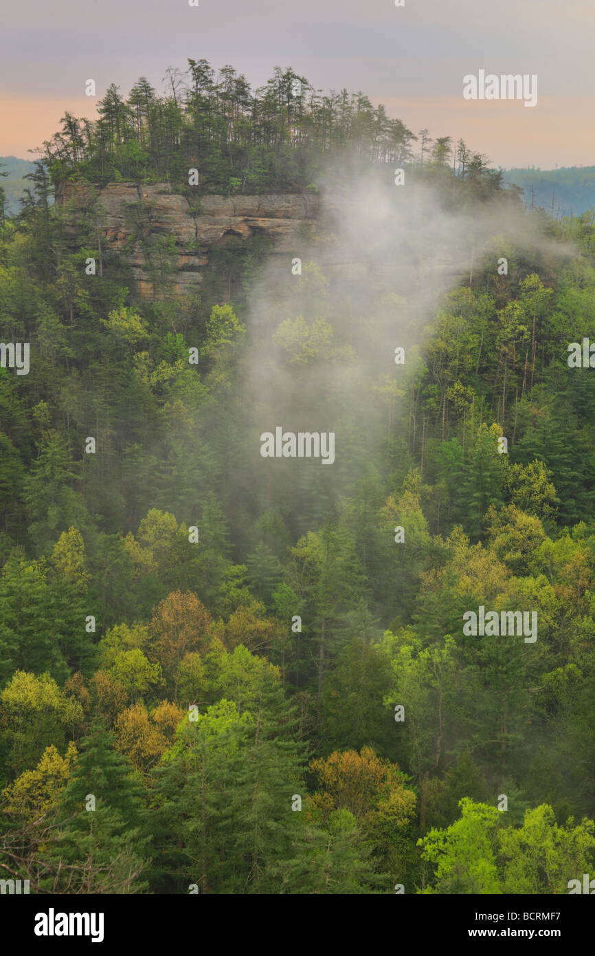 Early morning fog at Lookout Point Natural Bridge State Resort Park ...
