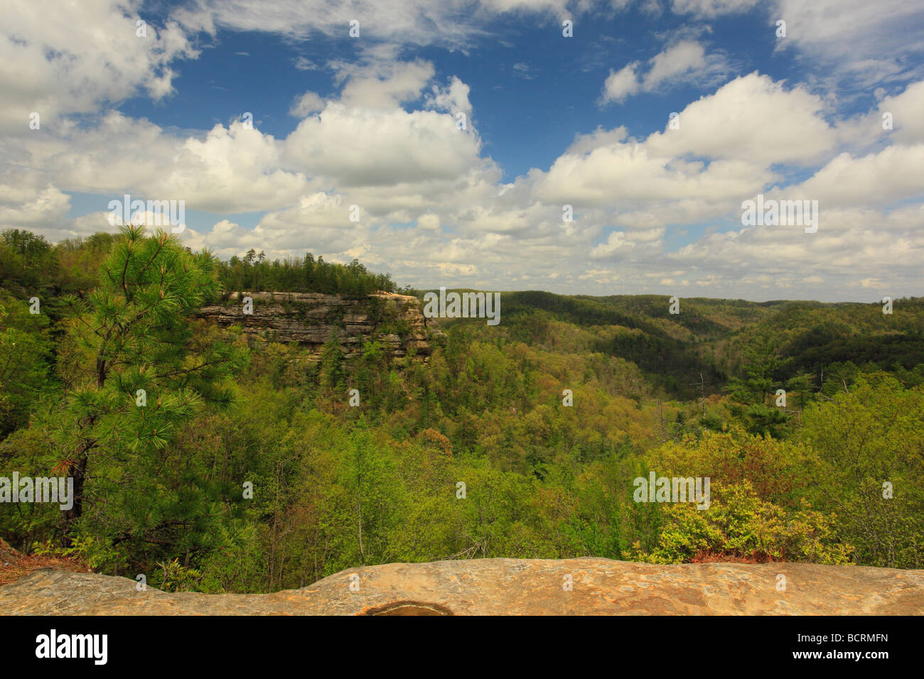 View from Lookout Point Natural Bridge State Resort Park Slade Kentucky ...