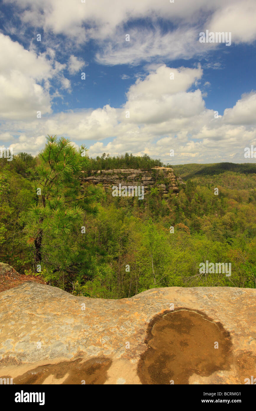 View from Lookout Point Natural Bridge State Resort Park Slade Kentucky ...