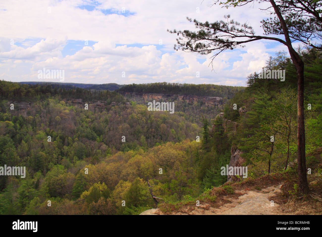 View into Devil s Canyon Red River Gorge Geological Area Slade Kentucky ...
