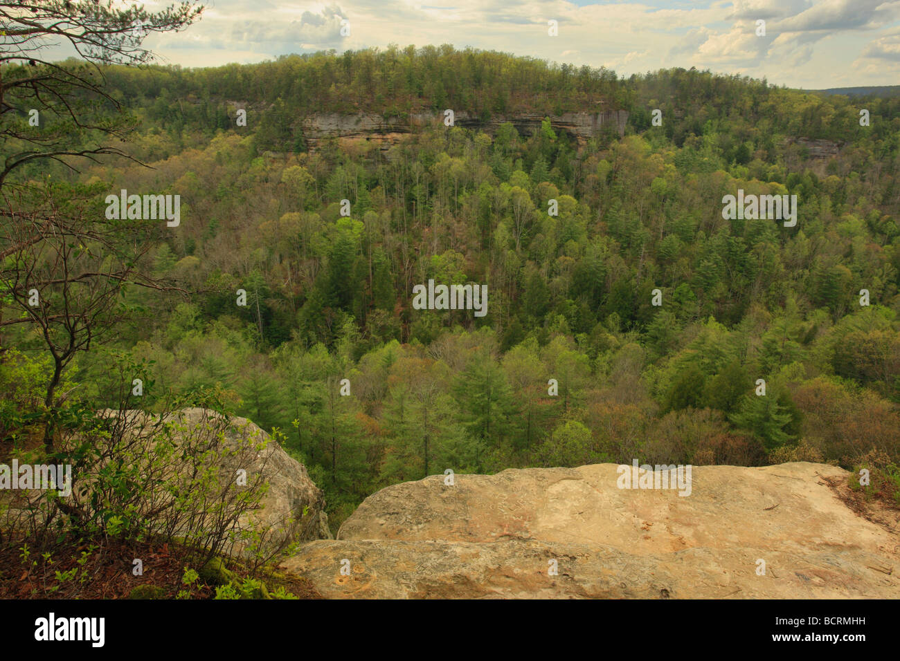 View into Devil s Canyon Red River Gorge Geological Area Slade Kentucky ...
