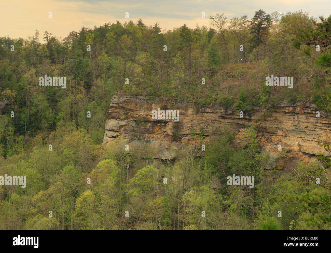 View into Clifty Wilderness from Sky Bridge Viewing Area Red River ...
