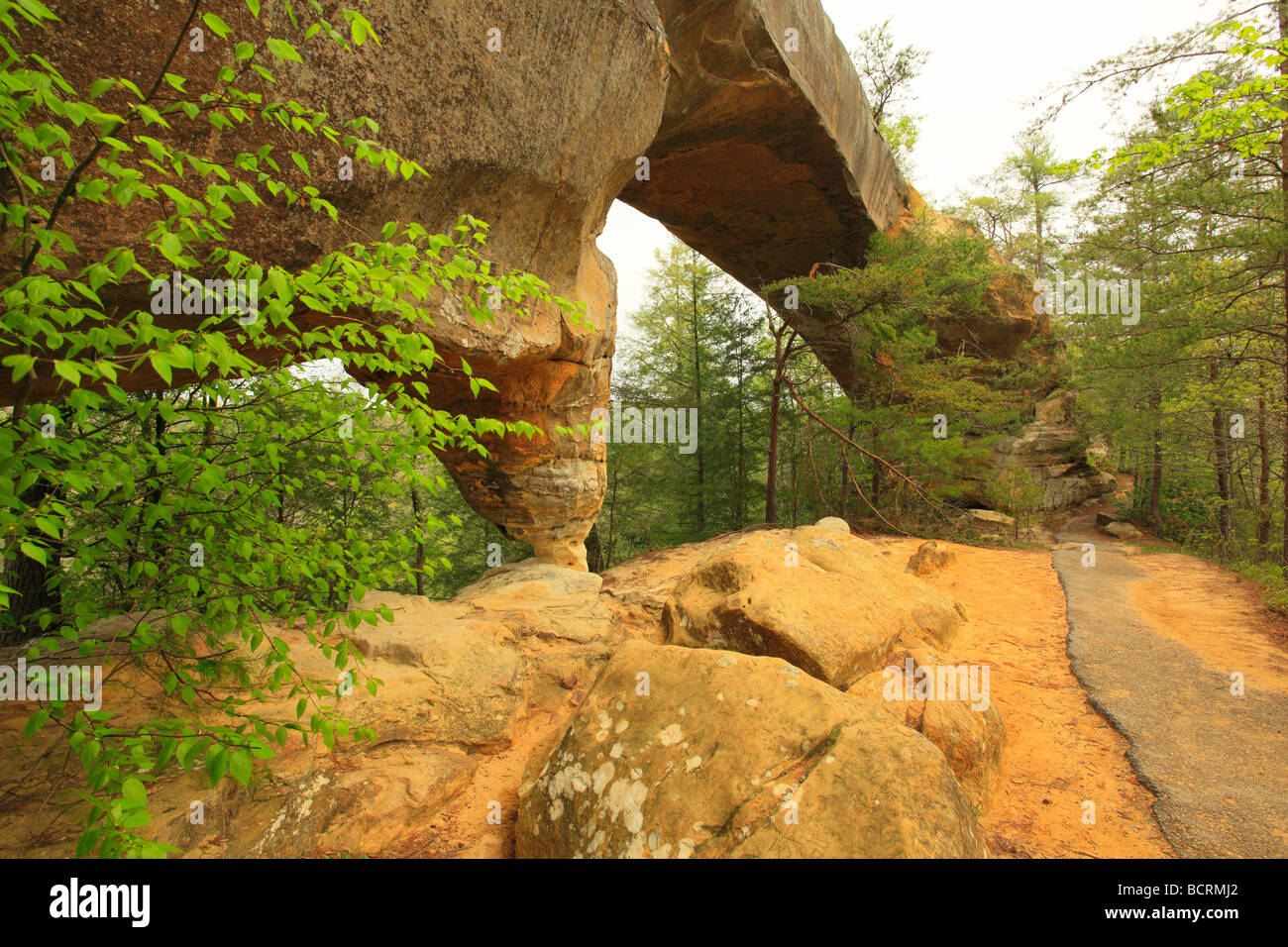 Sky Bridge Red River Gorge Geological Area Slade Kentucky Stock Photo ...