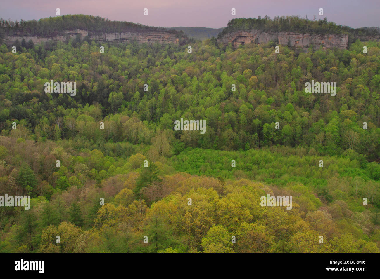 View from Chimney Top Rock Red River Gorge Geological Area Slade ...