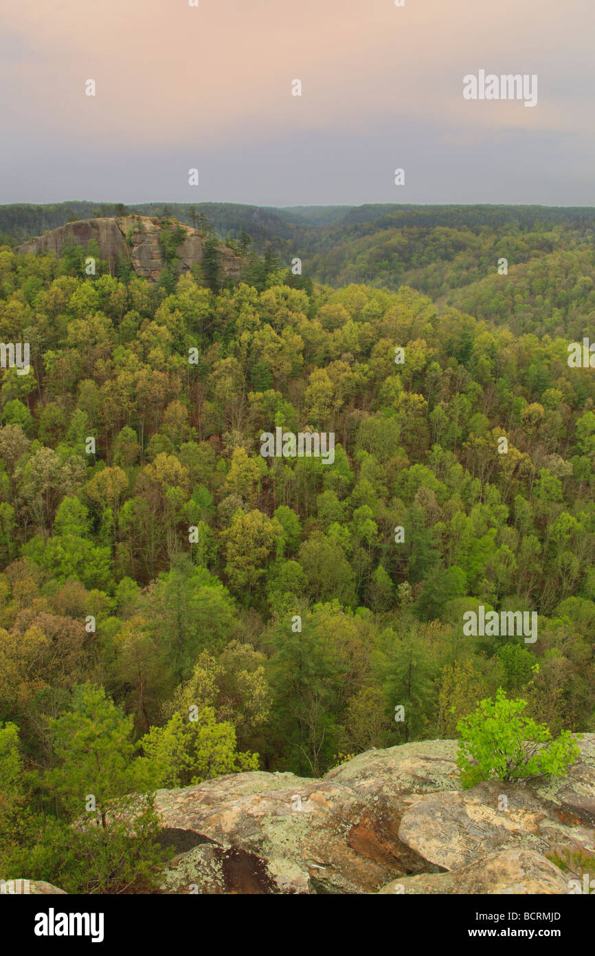 View from Chimney Top Rock Red River Gorge Geological Area Slade ...