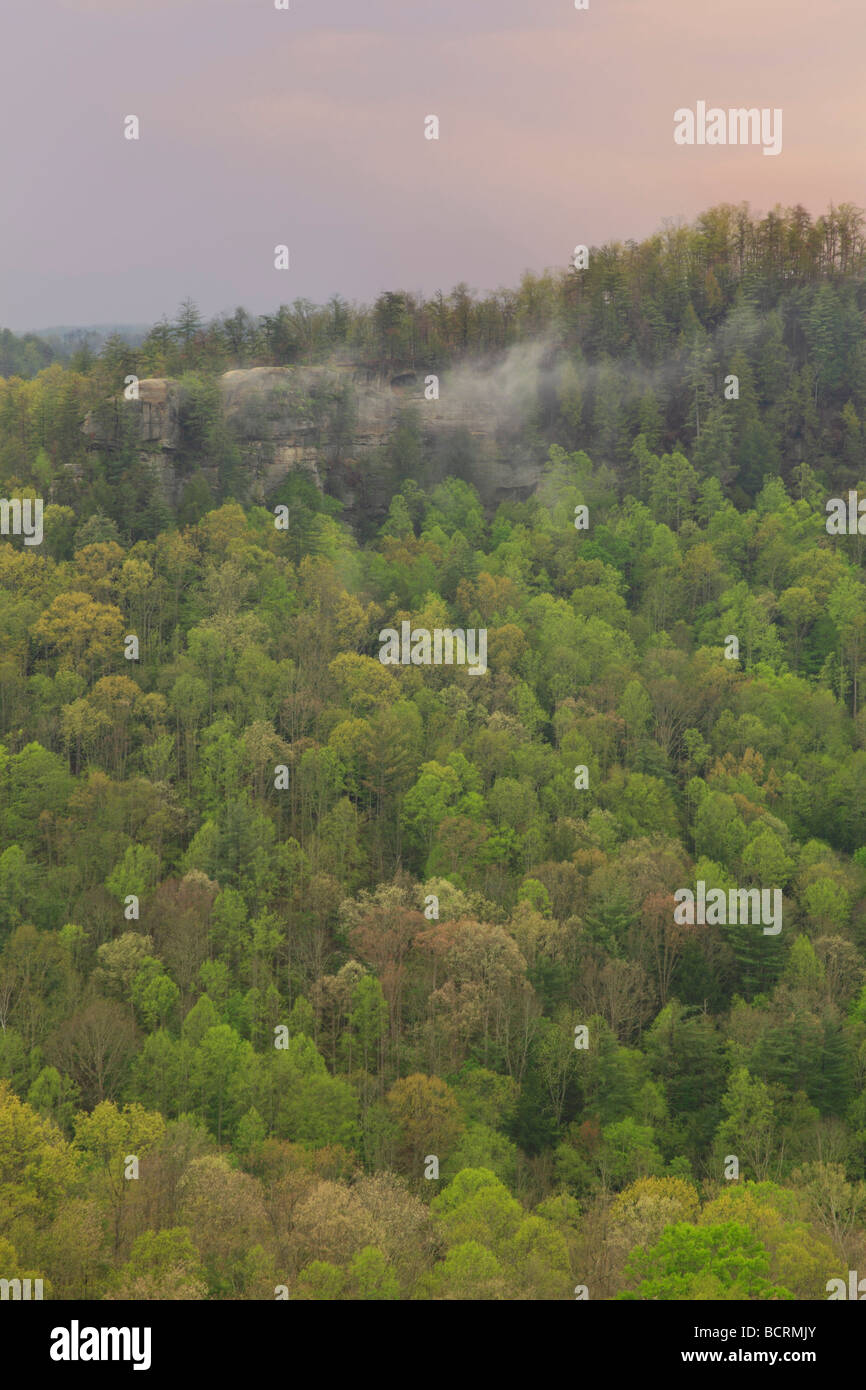 View from Chimney Top Rock Red River Gorge Geological Area Slade ...