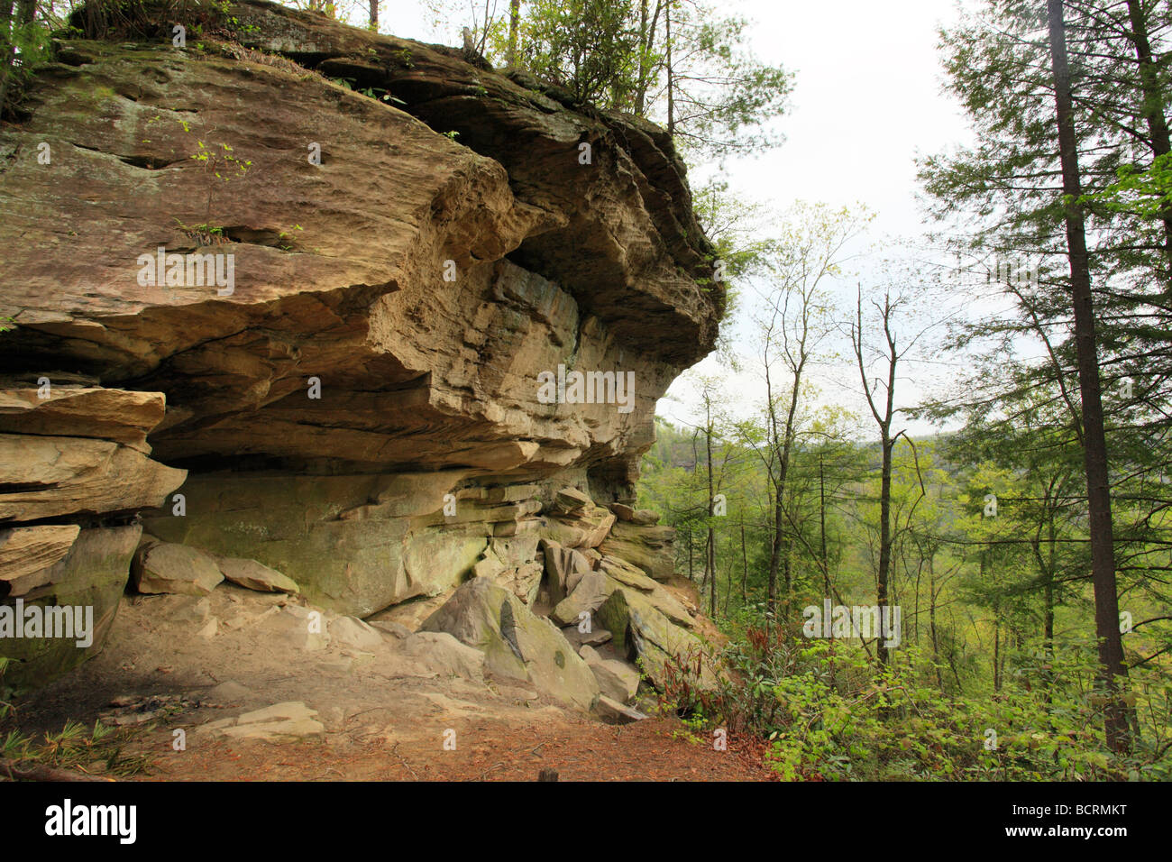 Whistling Arch Red River Gorge Geological Area Slade Kentucky Stock ...