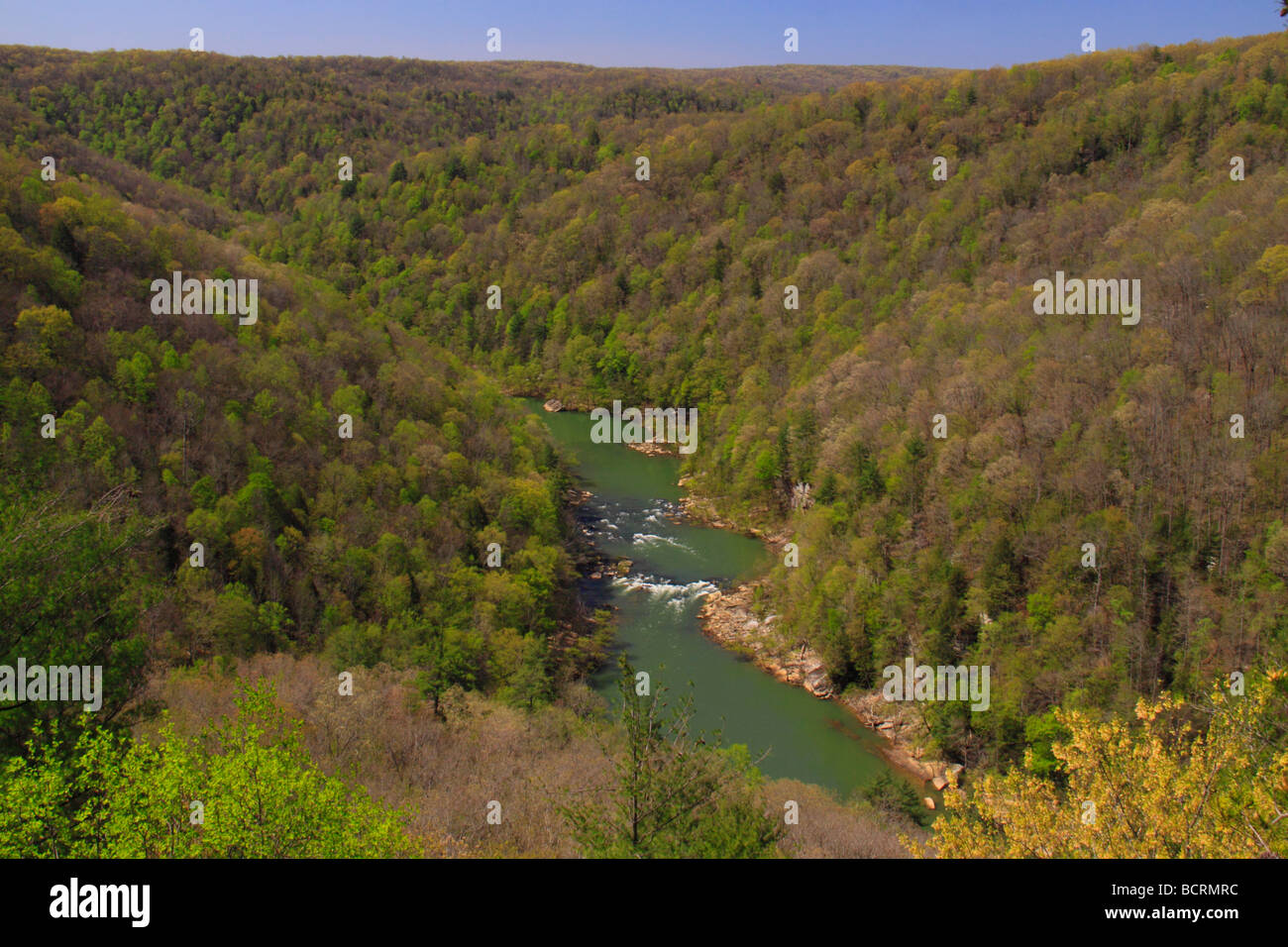 View from East Rim Overlook Big South Fork National River and ...