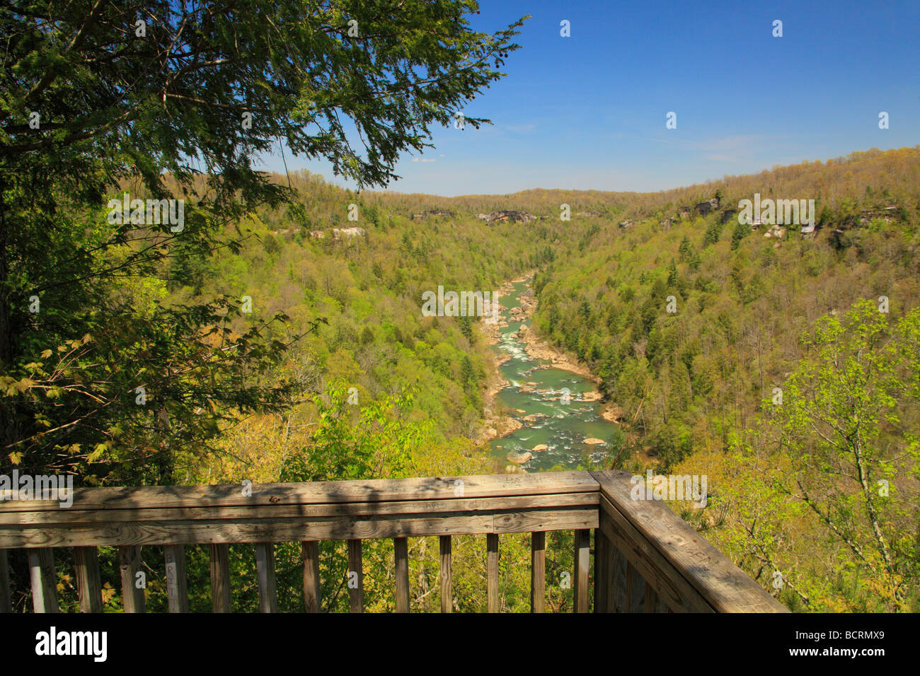 View from Honey Creek Overlook Big South Fork National River and ...