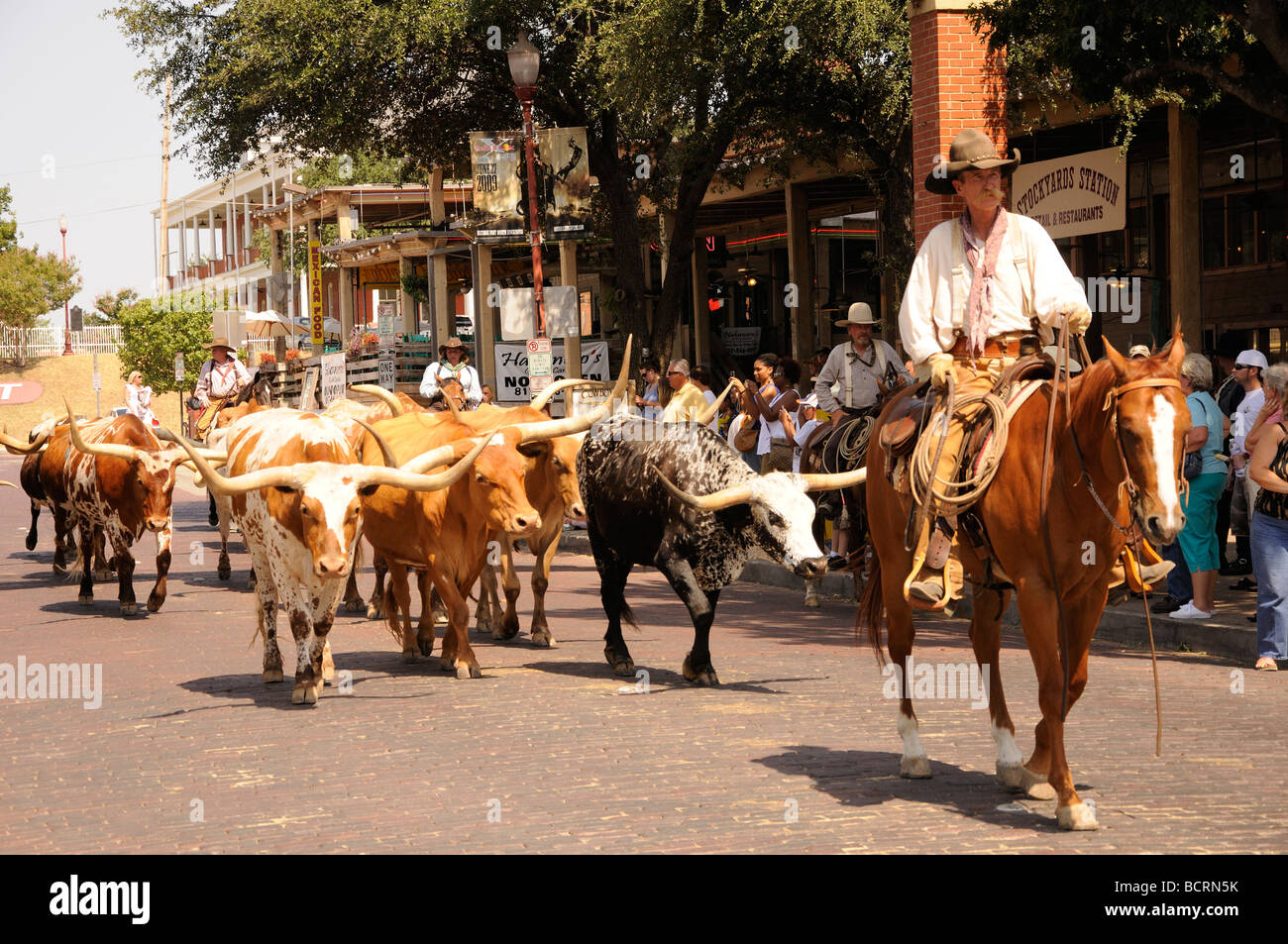 Cattle drive cowboys stockyards in hi-res stock photography and images ...