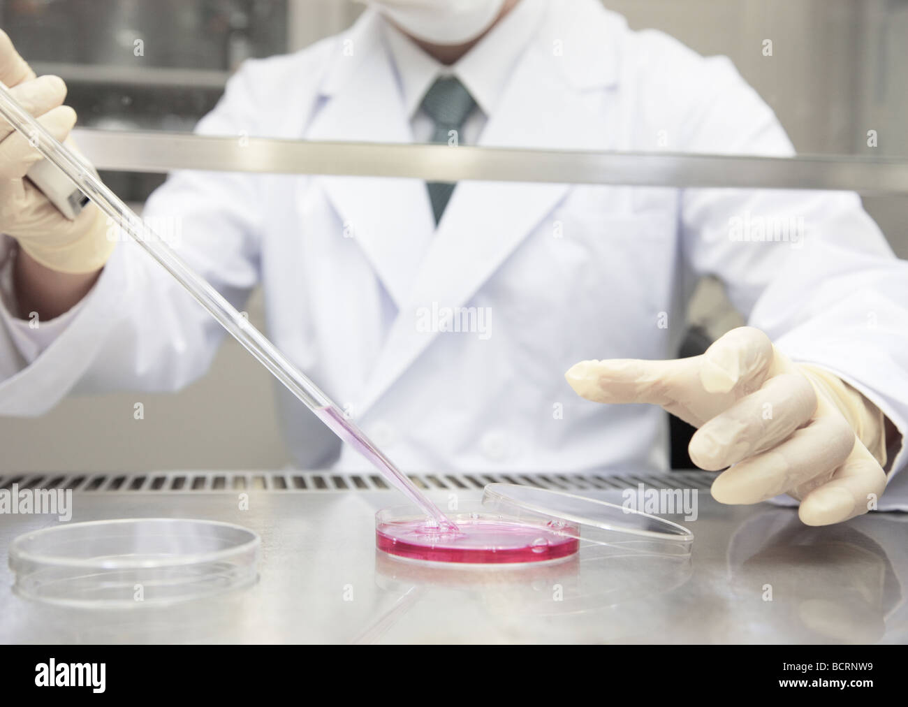 Rubber hand experiment hi-res stock photography and images - Alamy