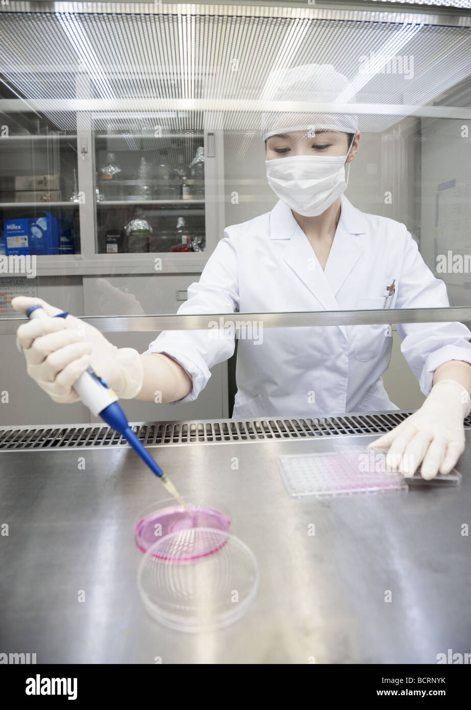 A researcher doing experiment Stock Photo - Alamy