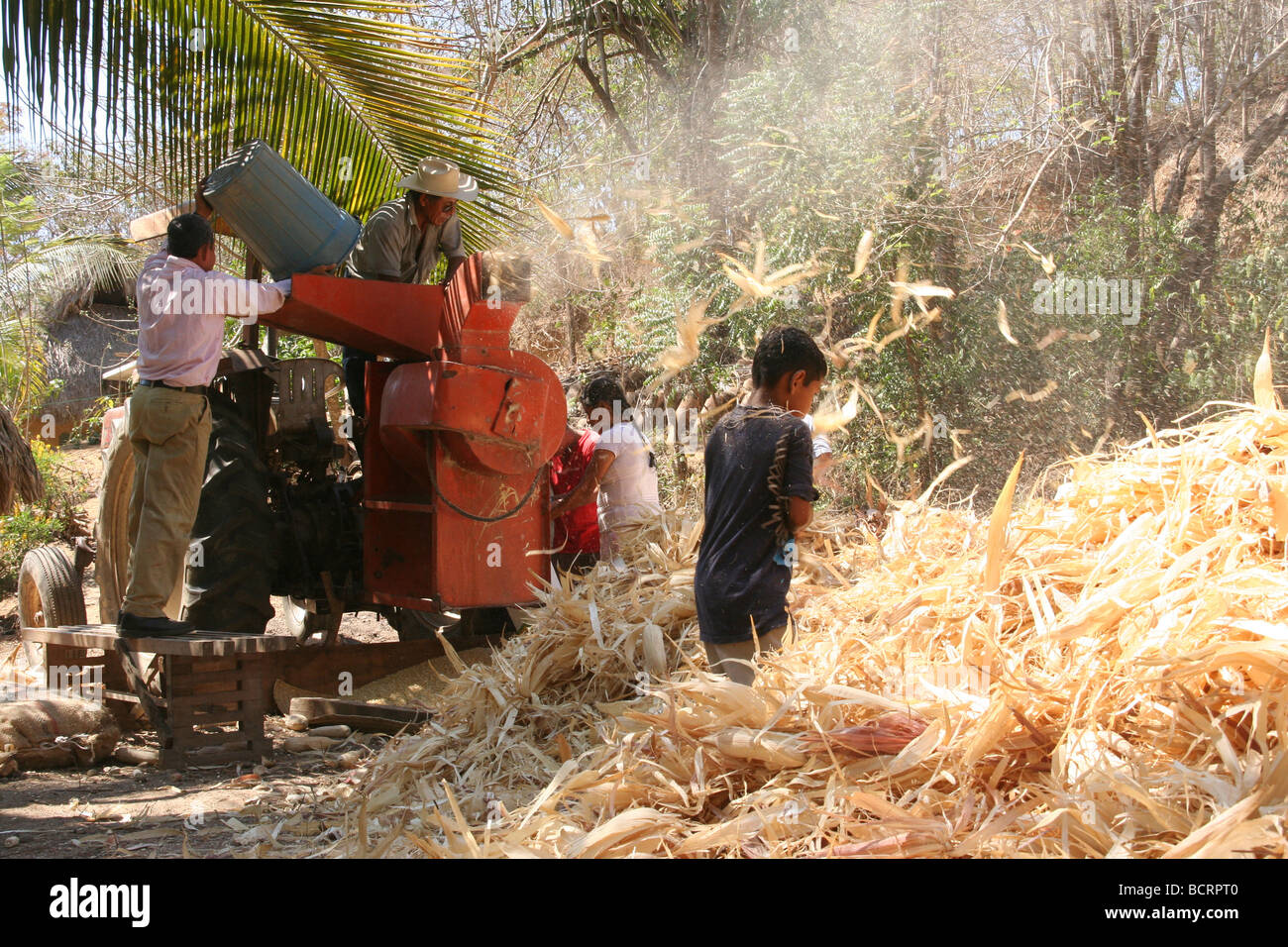 Poor harvest latin america hi-res stock photography and images - Alamy
