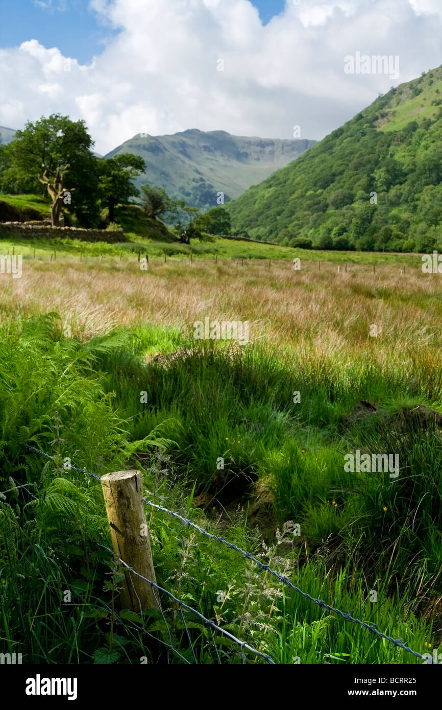 A Lakeland scene, Cumbria, Lake District, UK Stock Photo - Alamy