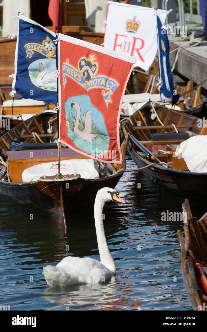 Upping High Resolution Stock Photography and Images - Alamy