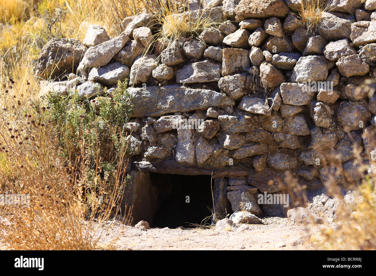 Chinchorro Culture High Resolution Stock Photography and Images - Alamy