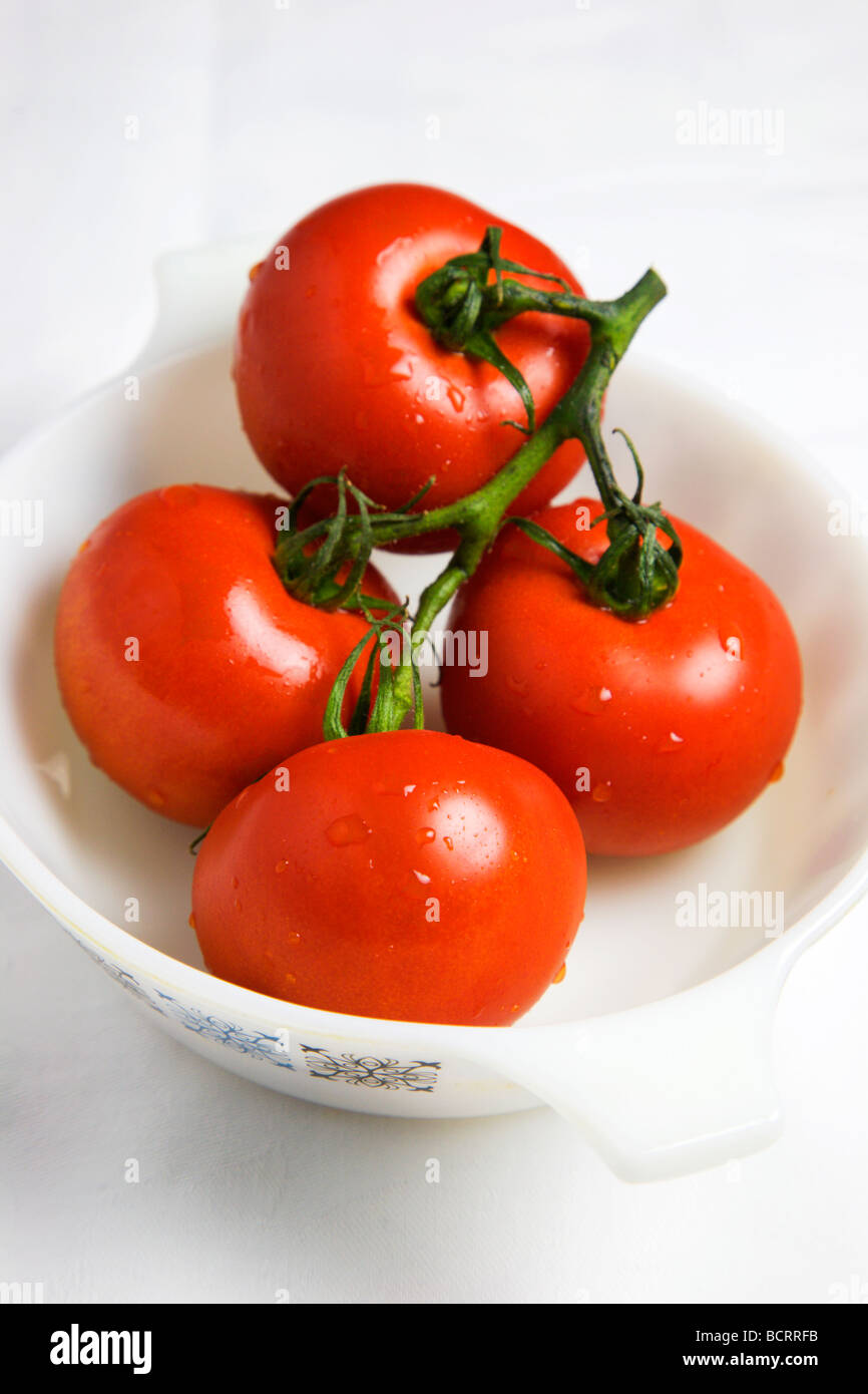 Vine ripened tomatoes on white background hi-res stock photography and ...
