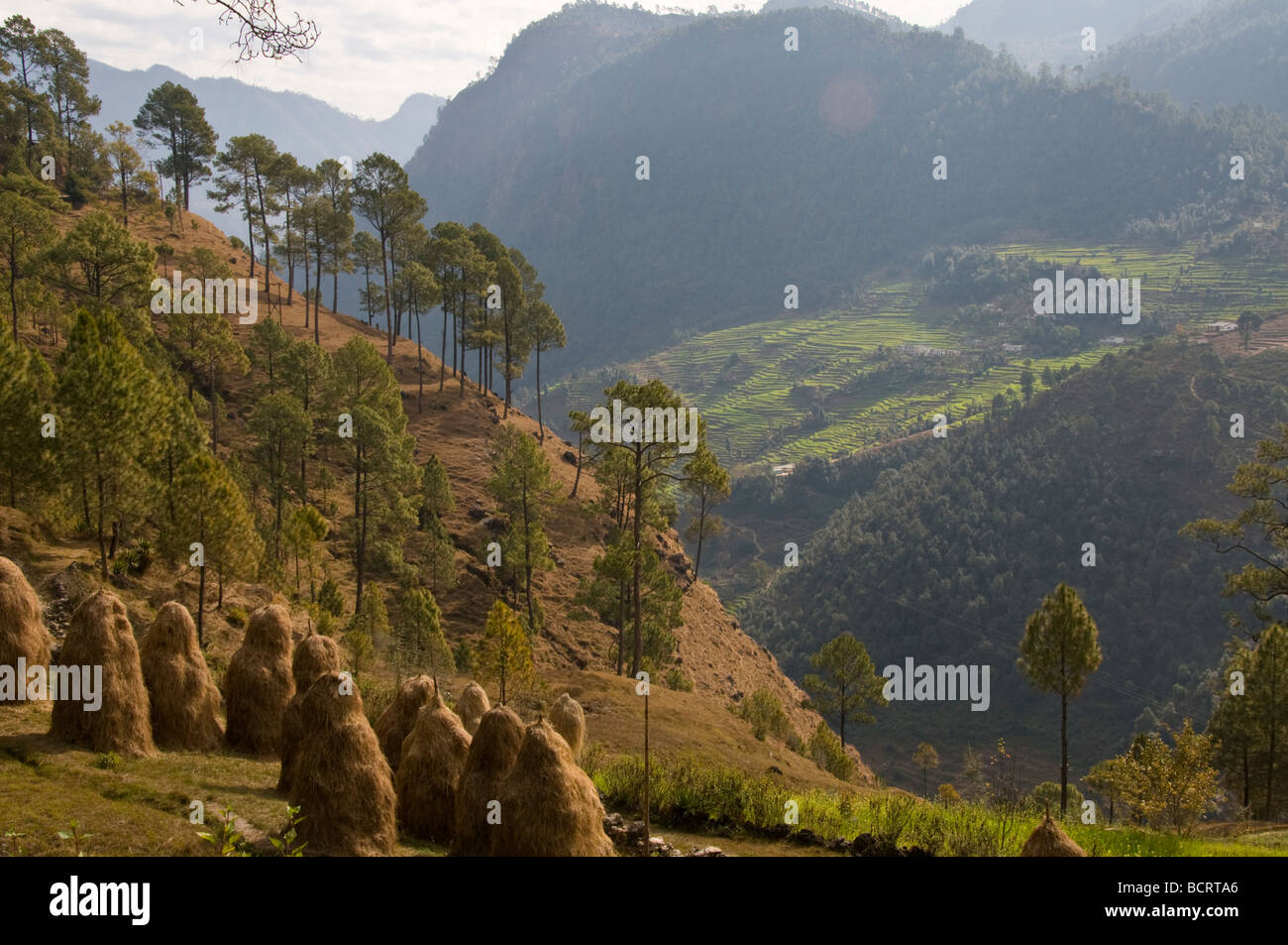 Himalayas mountains hill stations india hi-res stock photography and ...