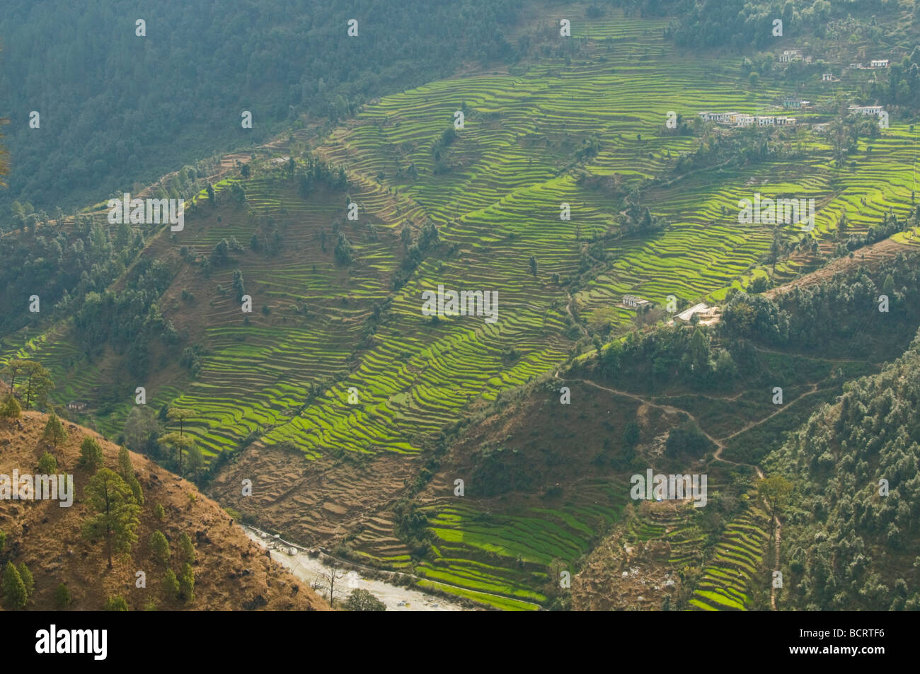Views of the lower himalayas hi-res stock photography and images - Alamy