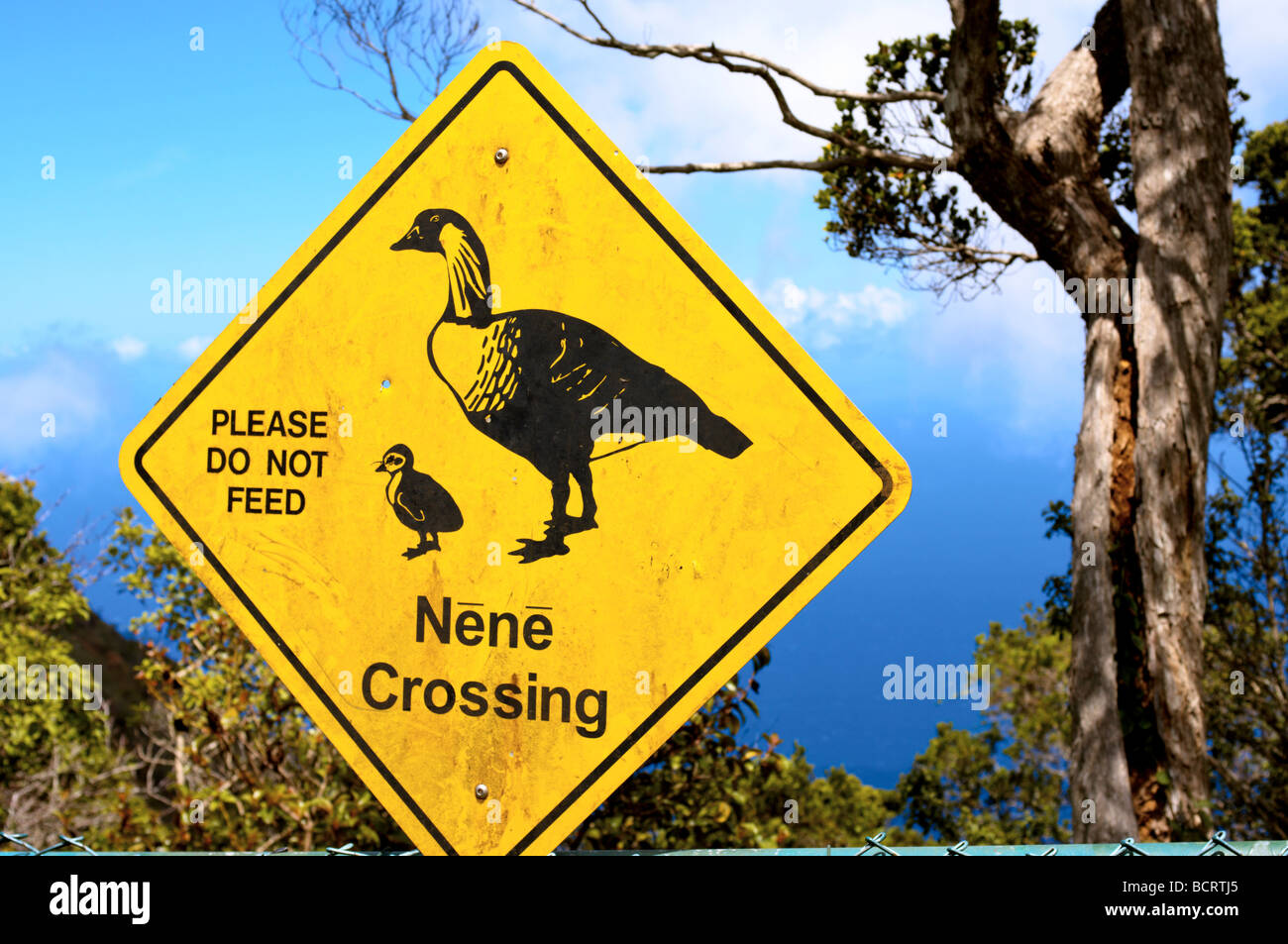 Nene crossing sign Kauai HI Stock Photo - Alamy