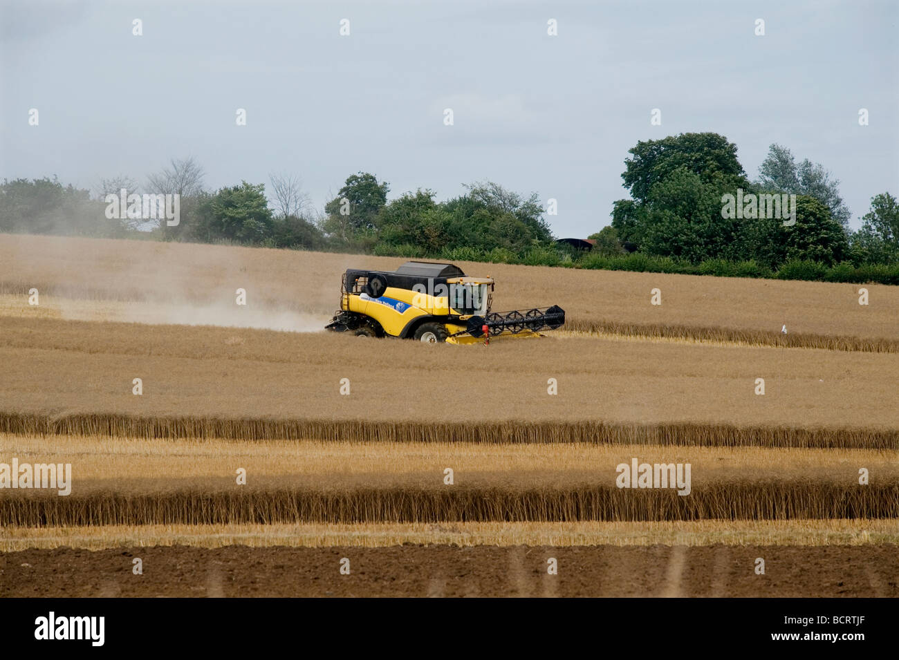 Combine new holland hi-res stock photography and images - Alamy