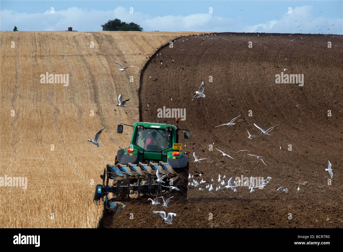 Farm Farmer Farming Agriculture Plough Winter Wheat Suffolk Britain ...