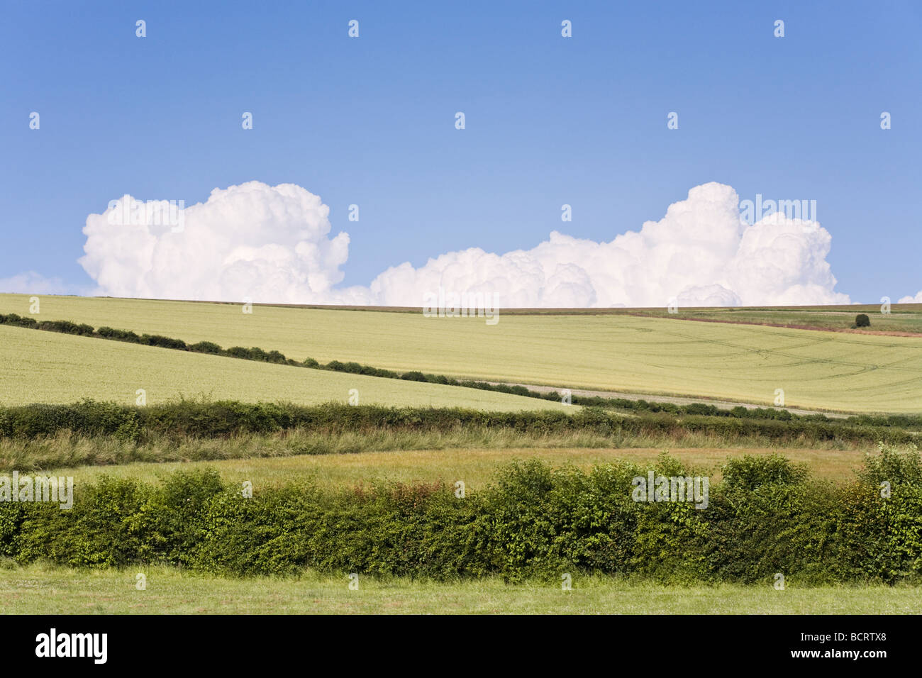 Summer clouds over the South Downs near Pyecombe, Sussex Stock Photo ...