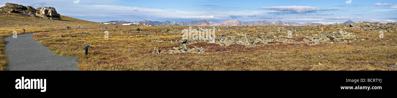 Bush tundra hi-res stock photography and images - Alamy