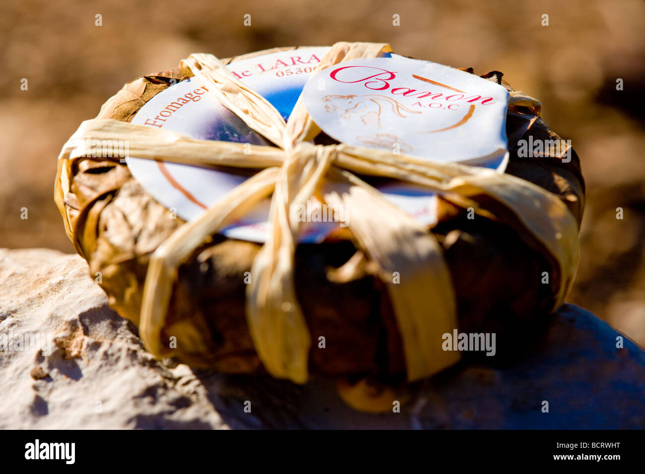 Banon cheese France Stock Photo - Alamy