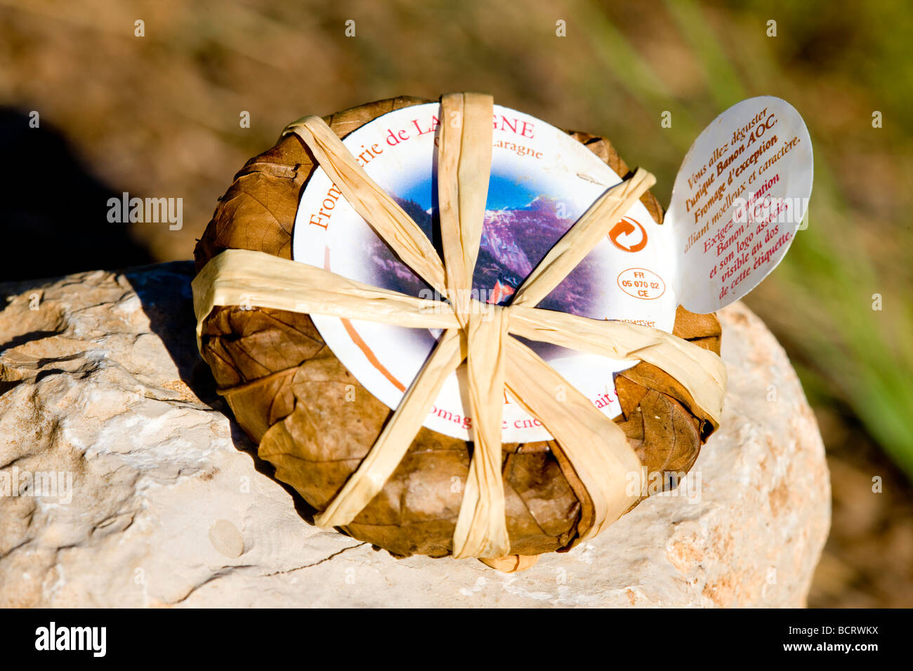 Banon cheese France Stock Photo - Alamy