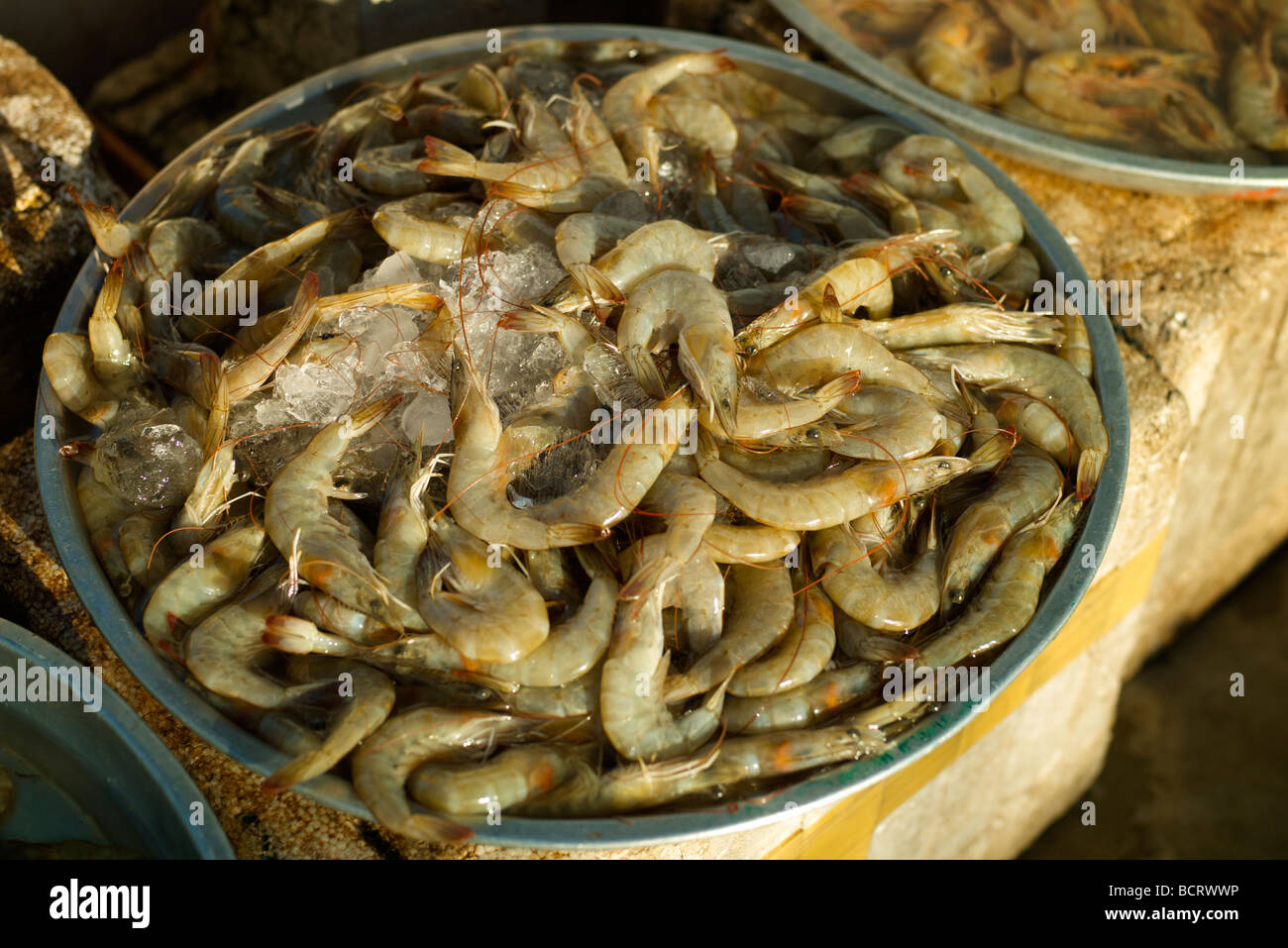 Prawns on display in a fish market Stock Photo - Alamy