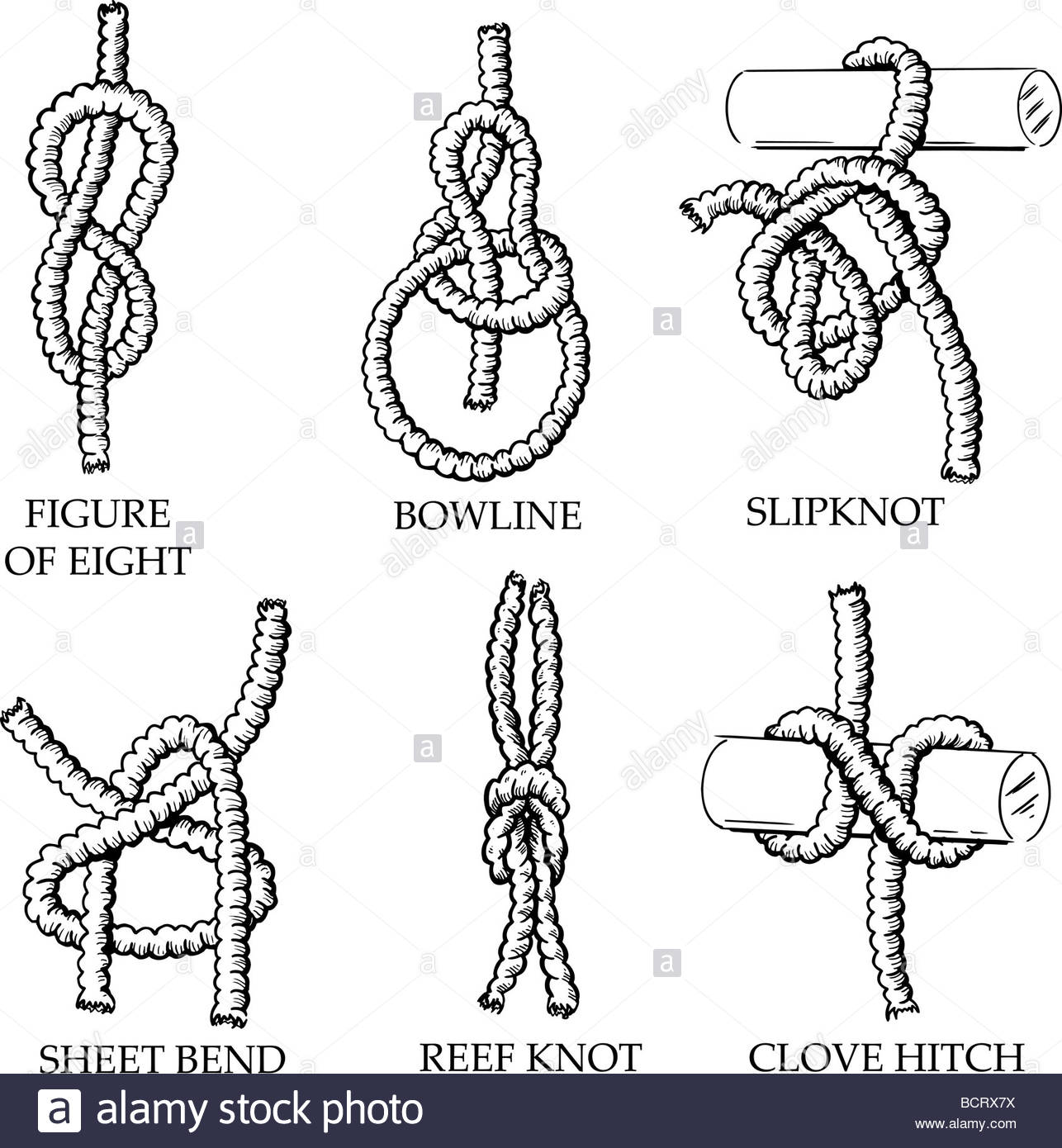 How To Tie A Reef Knot Stock Photos & How To Tie A Reef Knot Stock ...