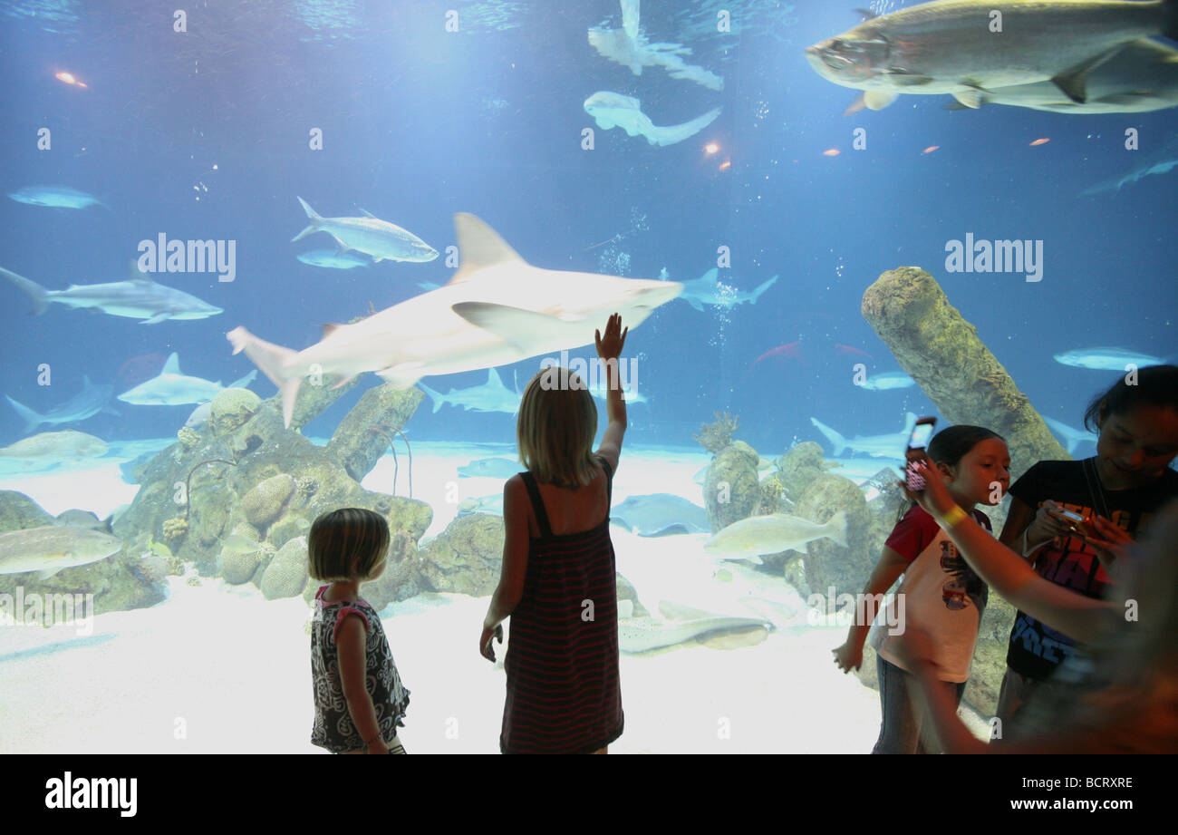 Children aquarium hi-res stock photography and images - Alamy
