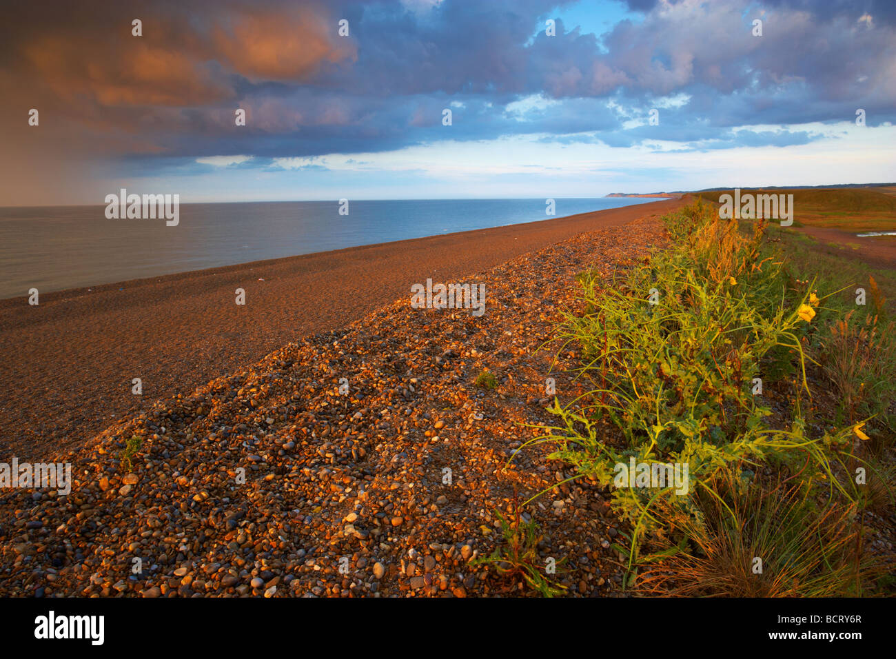 Late evening light on the shingle Beach at Salthouse on the North ...