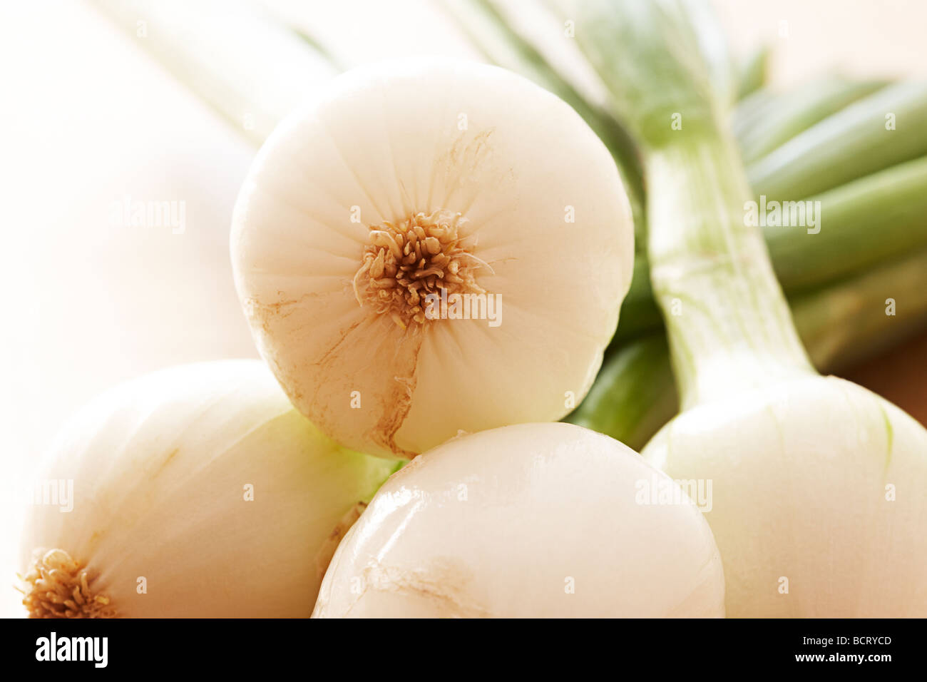 Healthy spring onions hi-res stock photography and images - Alamy