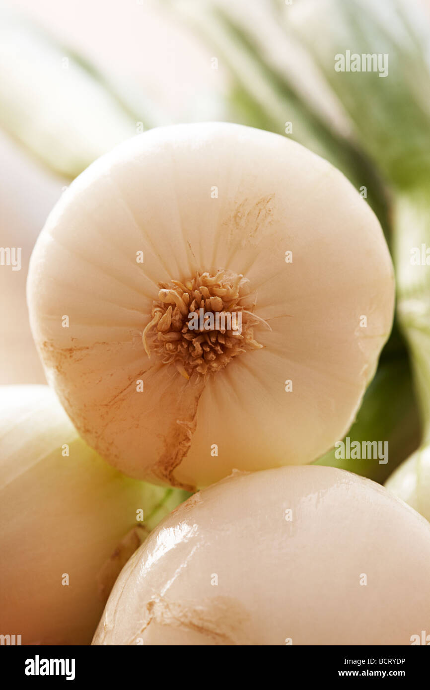 Spring salads hi-res stock photography and images - Alamy