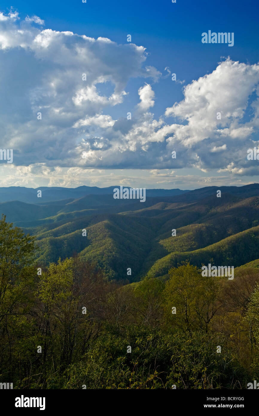 Early Spring Scenics Blue Ridge Parkway NC Stock Photo - Alamy