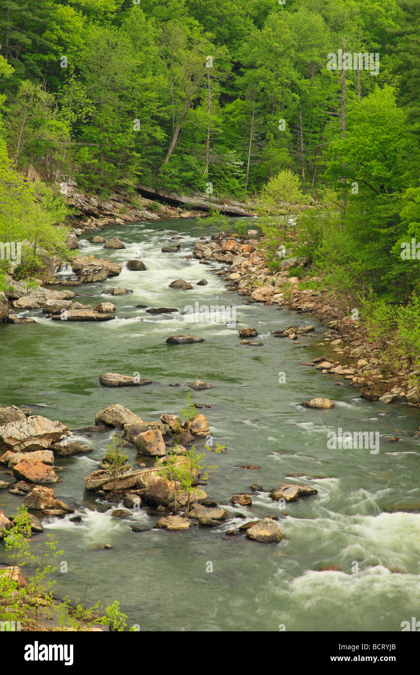 Maury River Goshen Pass Natural Area Preserve Goshen Virginia Stock ...