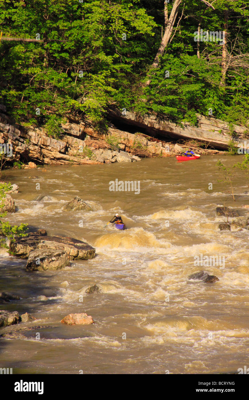 Canoeists and kayakers on Maury River Goshen Pass Natural Area Preserve ...