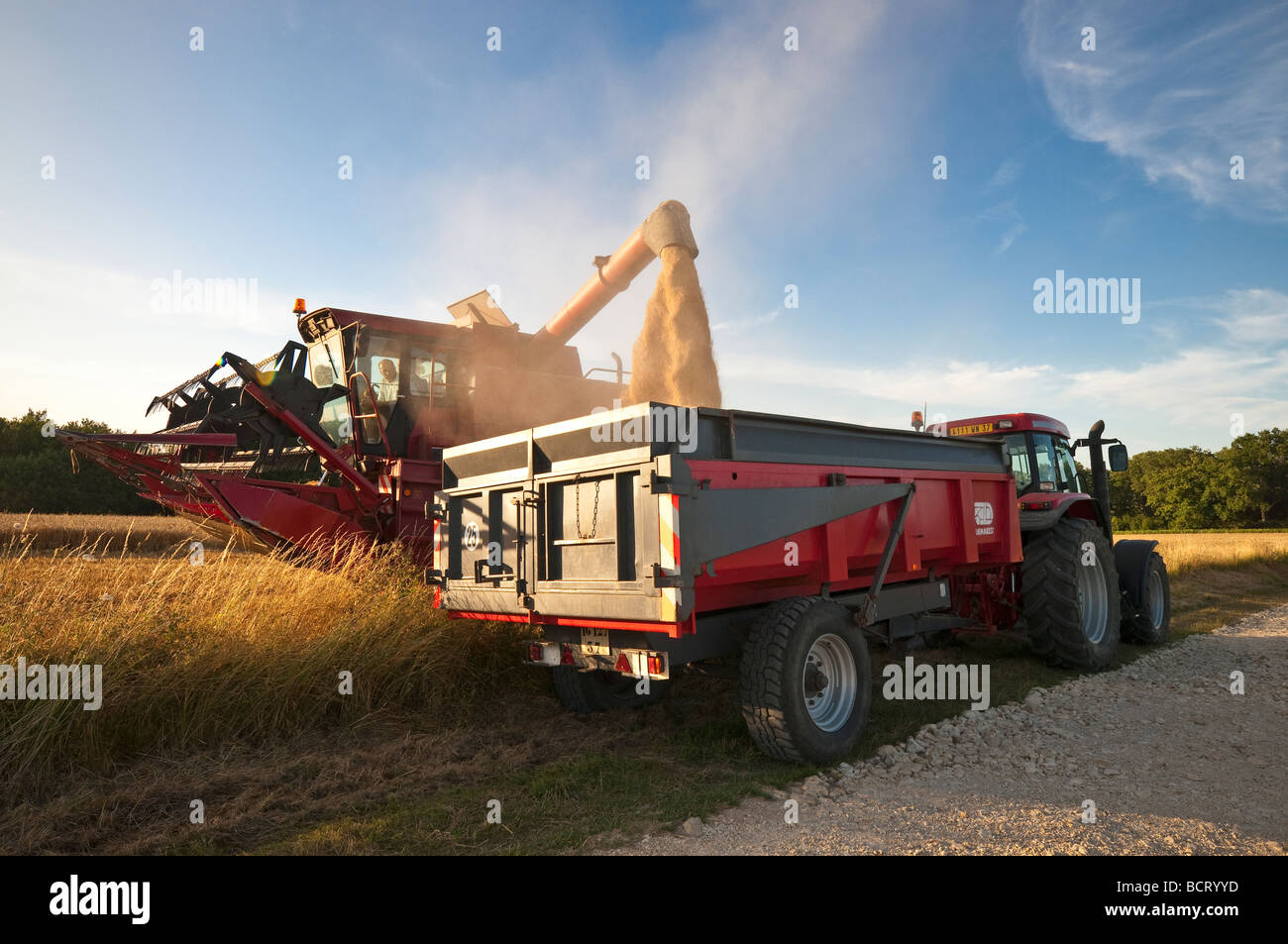 Case International 1660 combine harvester discharging grain into ...