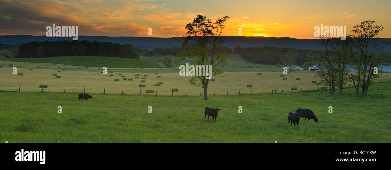 Sunset at farm near Middlebrook Shenandoah Valley Virginia Stock Photo ...