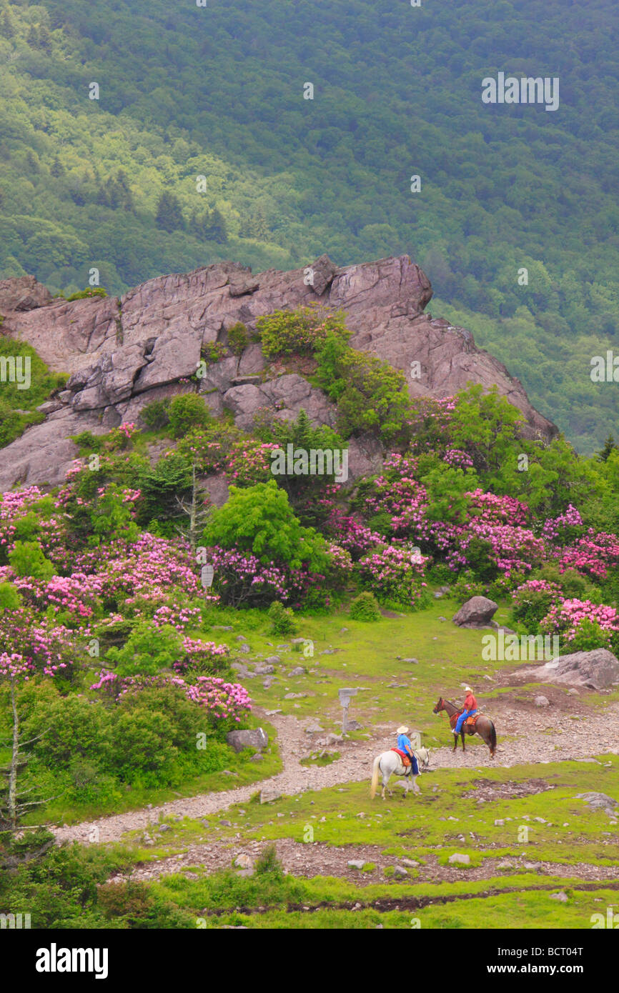 Trail Riders Rhododendron Gap Mount Rogers National Recreation Area ...
