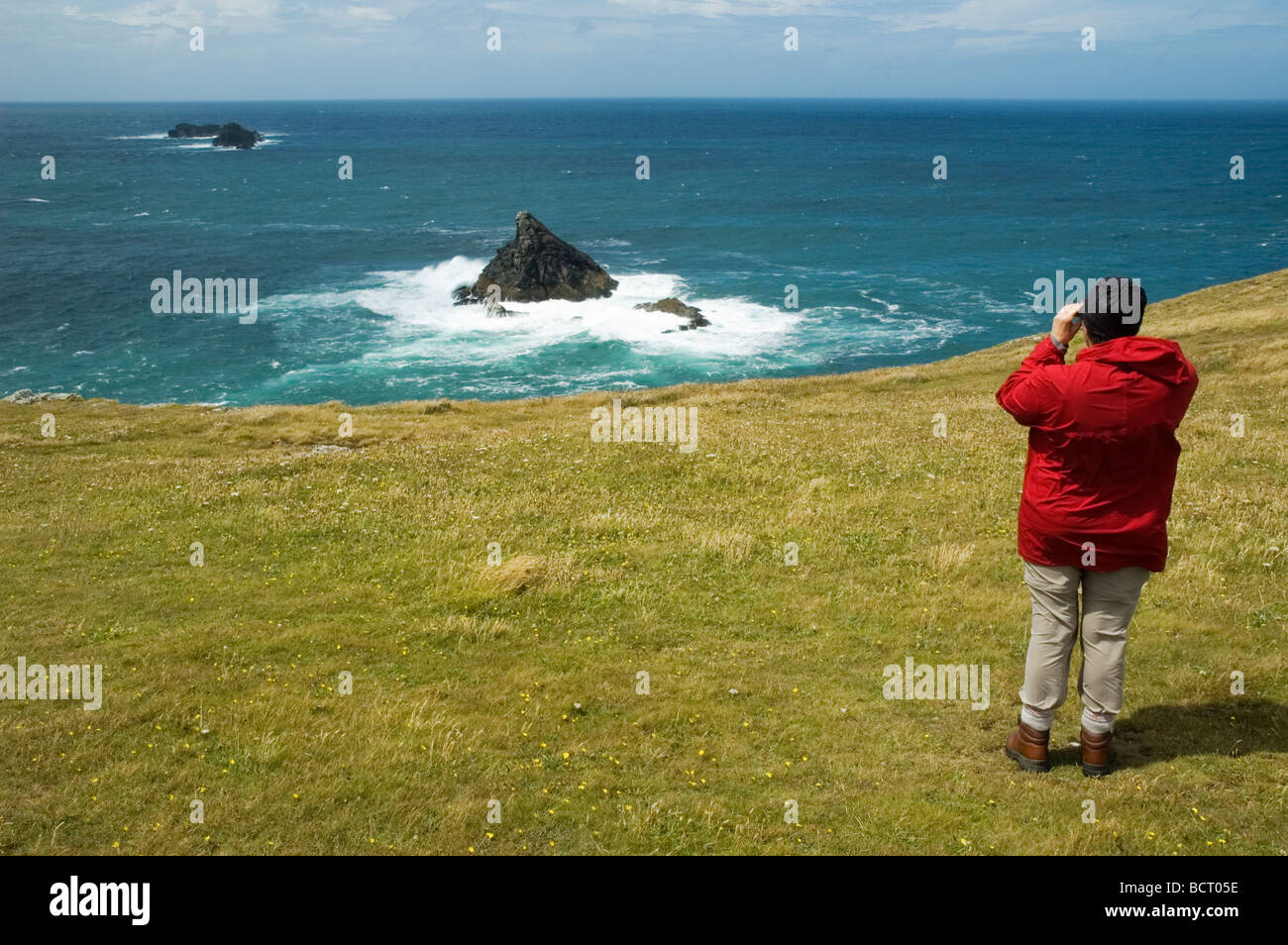 Female walker birdwatching on the South West Coastal Path at Dinas Head ...